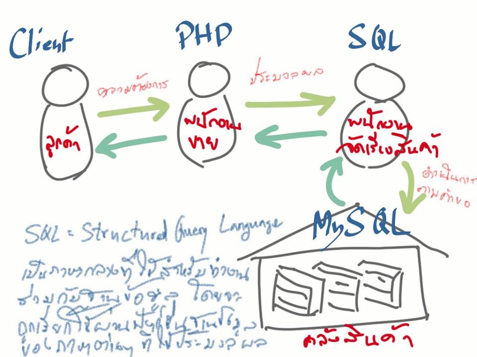 ภาษา SQL คืออะไร?