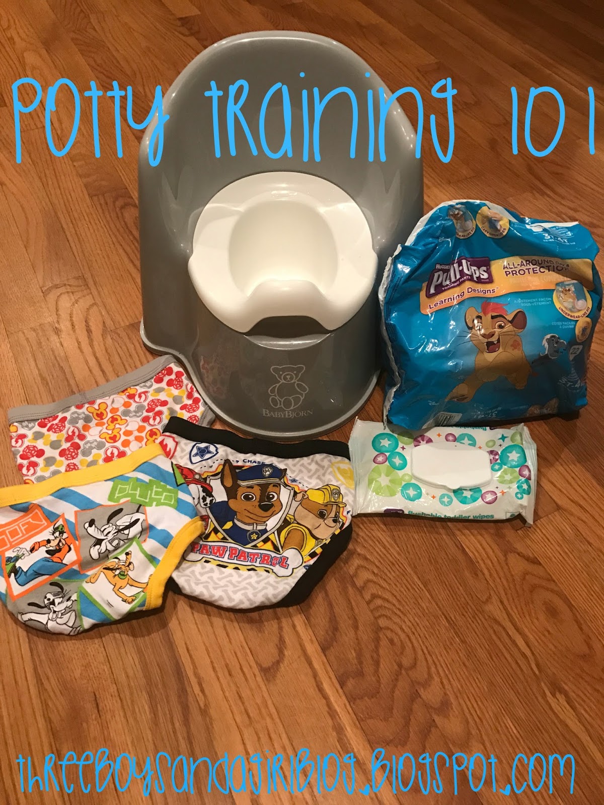 Three Boys and a Girl : Potty Training 101