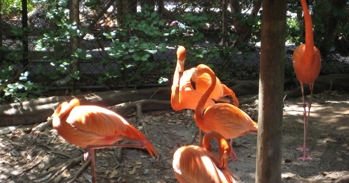 Southern Living: Preppy Style: Our Weekend!