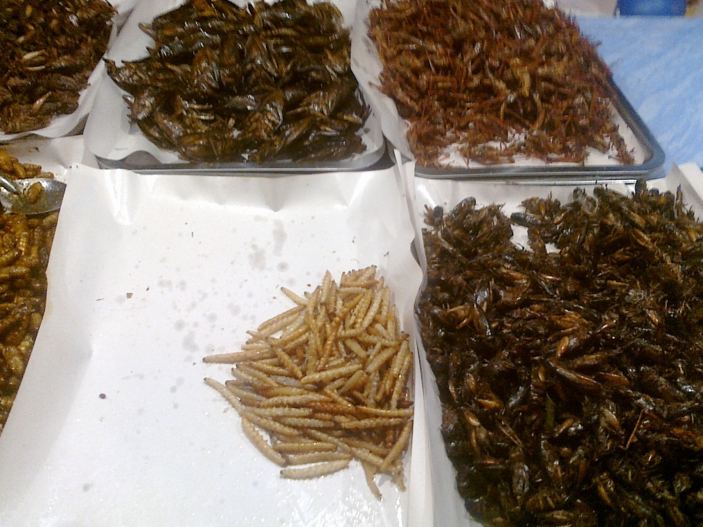 Street Foods: Exotic Deep Fried Insects