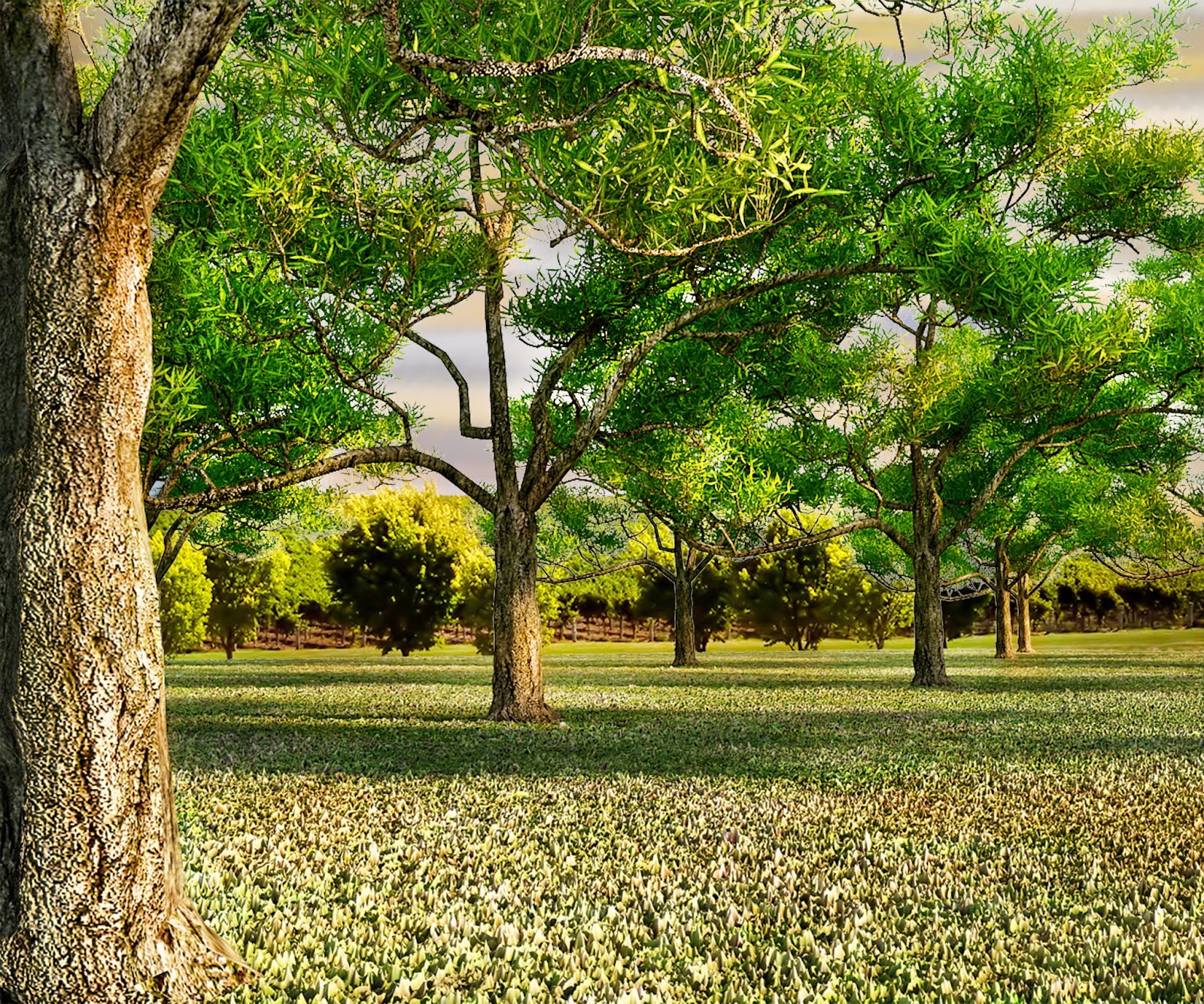 Mahesh.M: 3D LANDSCAPING MODEL