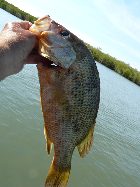 Billy's Blog: Billy's Camp No.17, King Ash Bay, NT. Gulf of Carpentaria.
