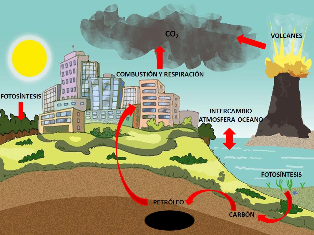 Biología: Ciclos BioGeoQuímicos