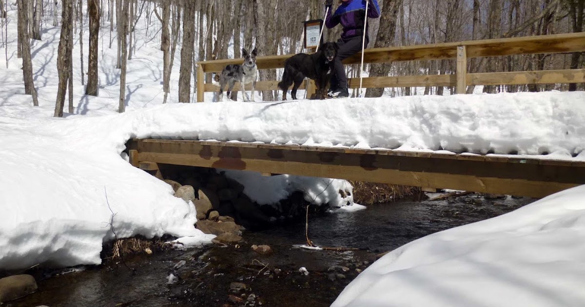 Maasto Hiihto and Churning Rapids Trails News: Yooper loop reopening?