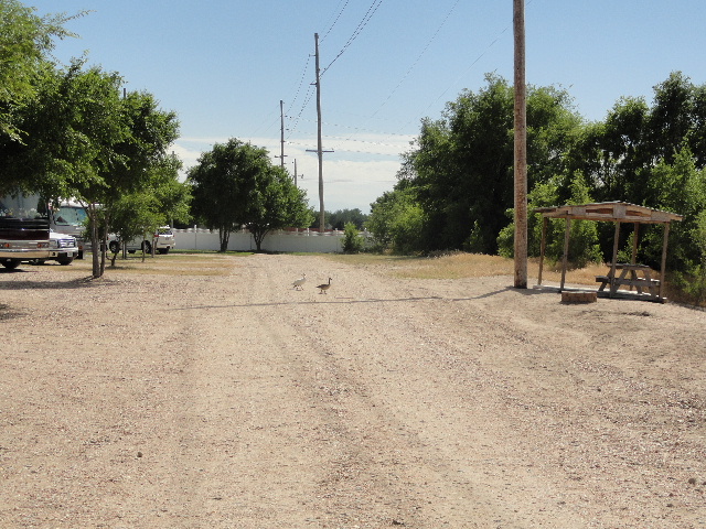 How to Love Where You Are and Eat Where the Locals Eat!!: REVIEW OF ...