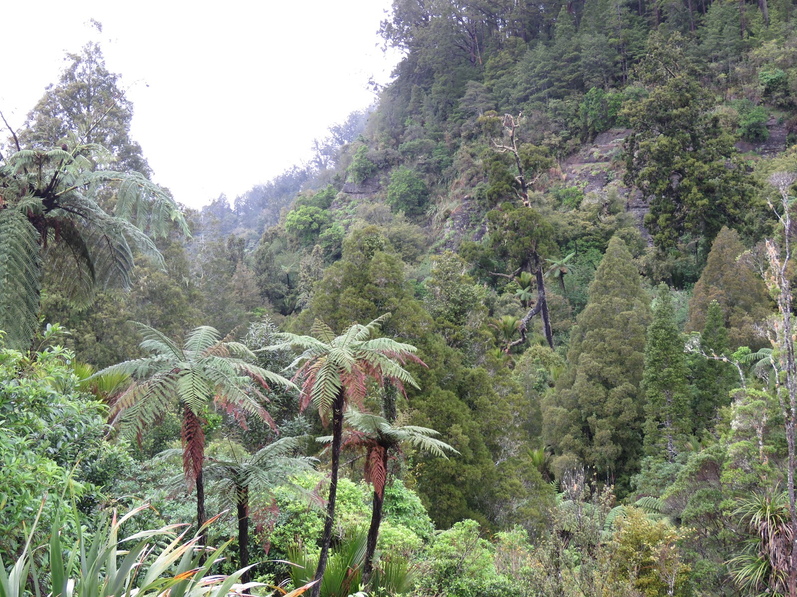 Bird & Travel Photos, Birding Sites, Bird Information: VIEWS AT ...