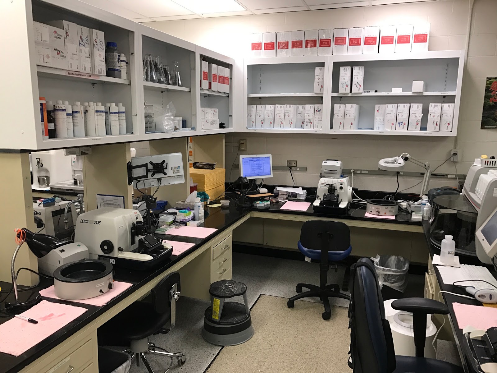 HOUSTON VETERINARY PATHOLOGY SERVICES