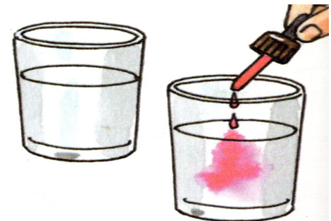 El Cofre del Profe: FLORES DE COLORES