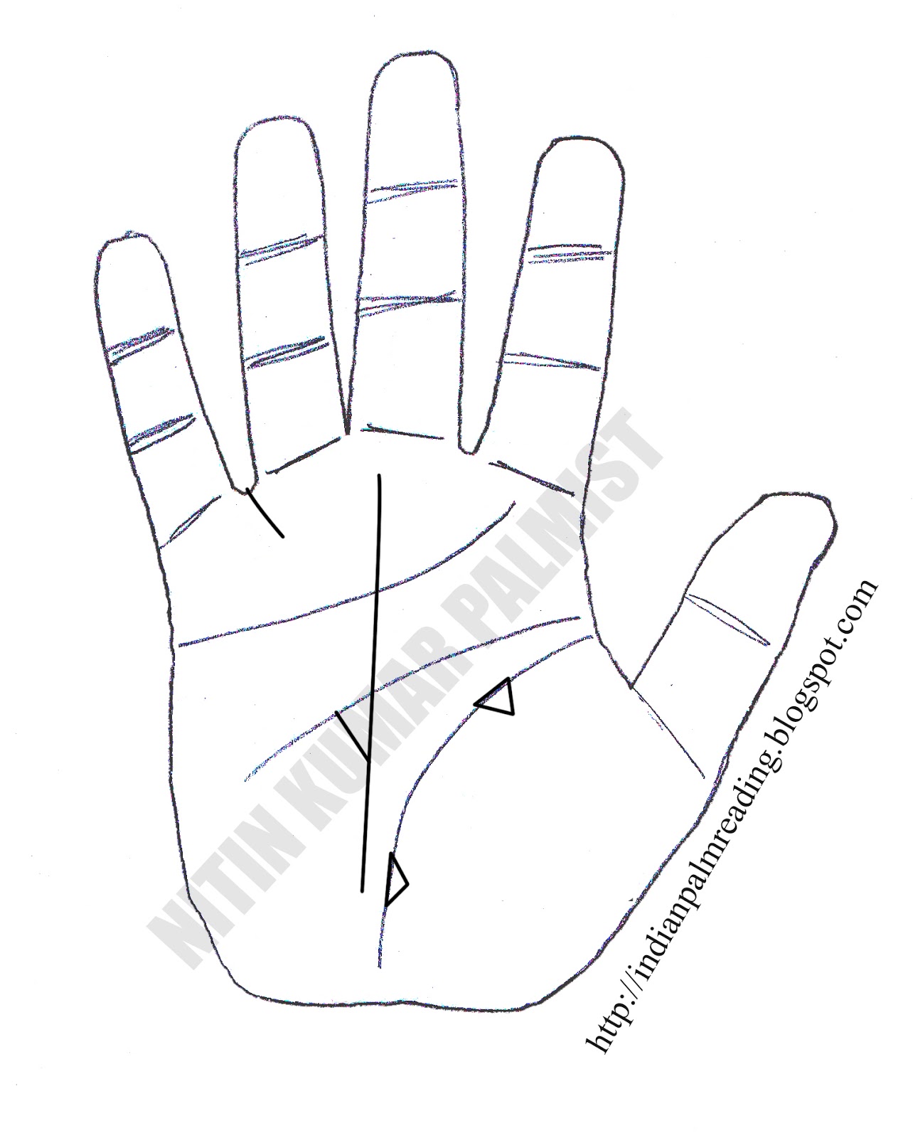 Indication Of Wealth On Hand Indian Palmistry ~ INDIAN PALMISTRY | PALM ...