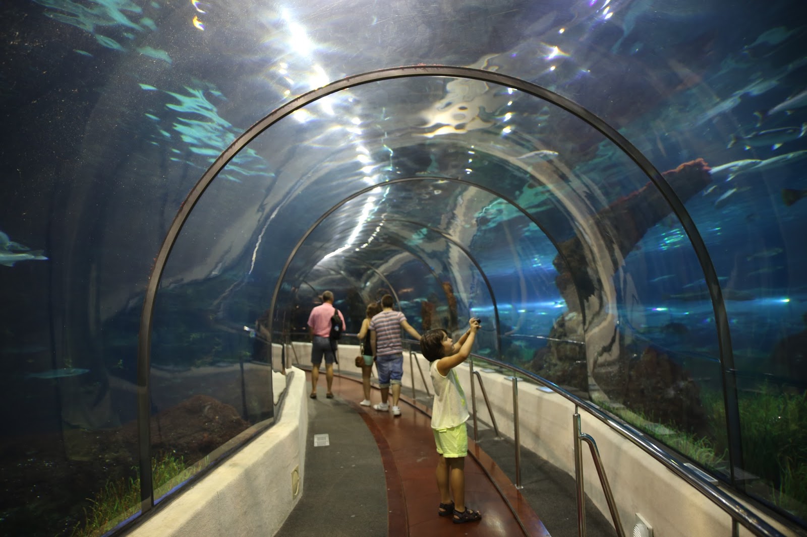 Călătorii cu copii: L'Áquarium, Barcelona