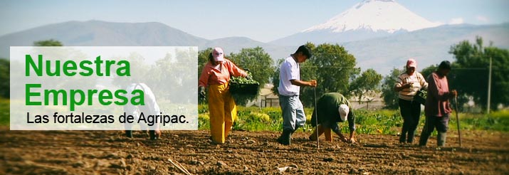 Agripac S.A.: Nuestra Empresa