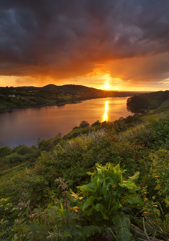 Amazing Camlough Lake ~ HYIP Bitz - HYIP Investment Monitor and Rating