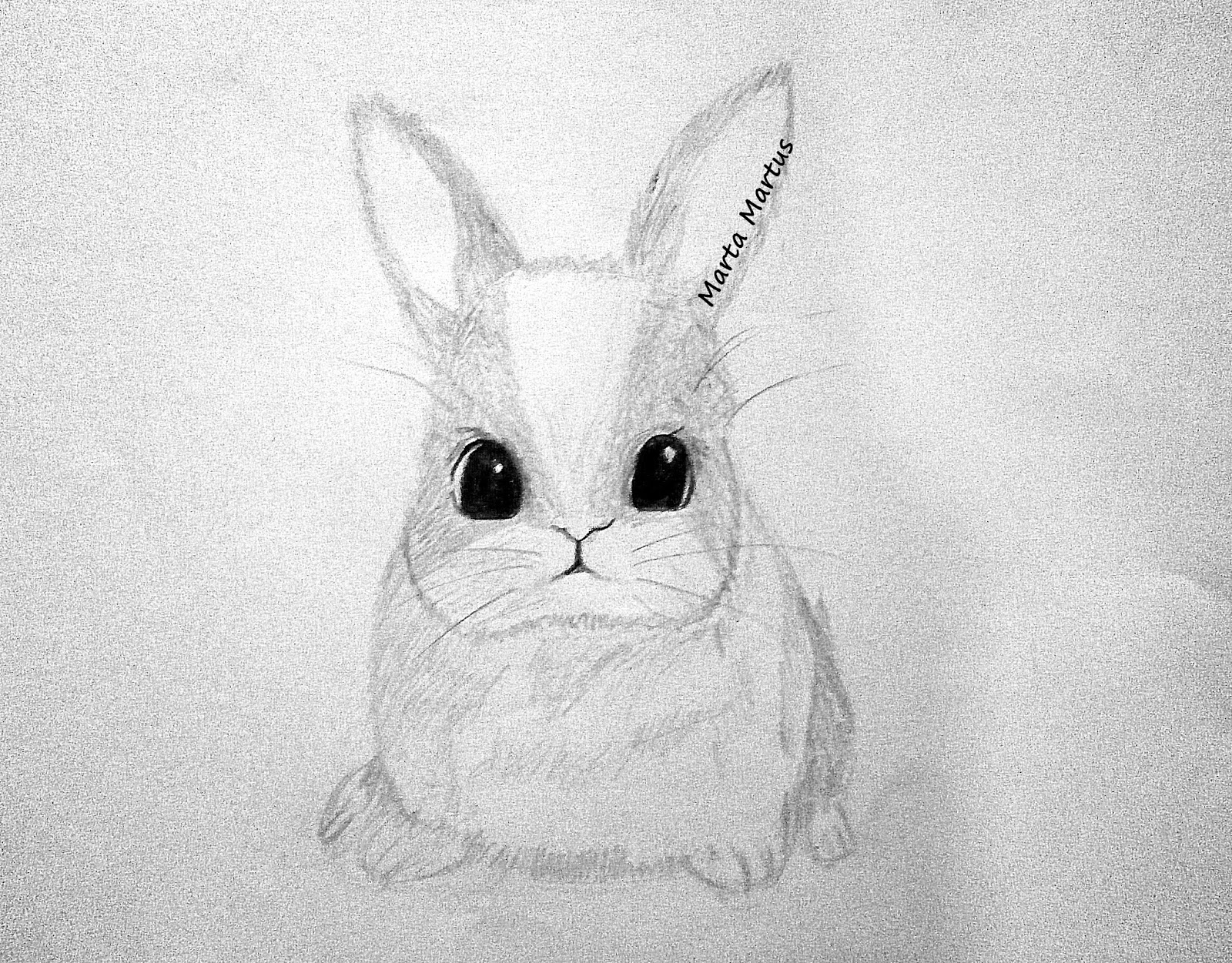 Dibujos a lápiz: Rabbit