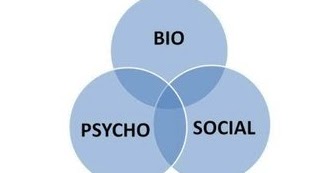 Relational psychiatry: The bio-bio-bio model of mental illness