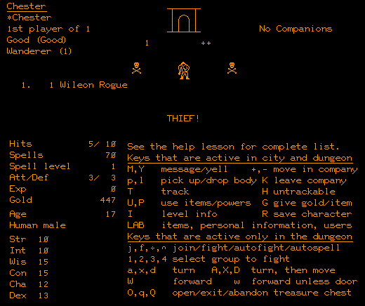 The CRPG Addict: The Earliest CRPGs