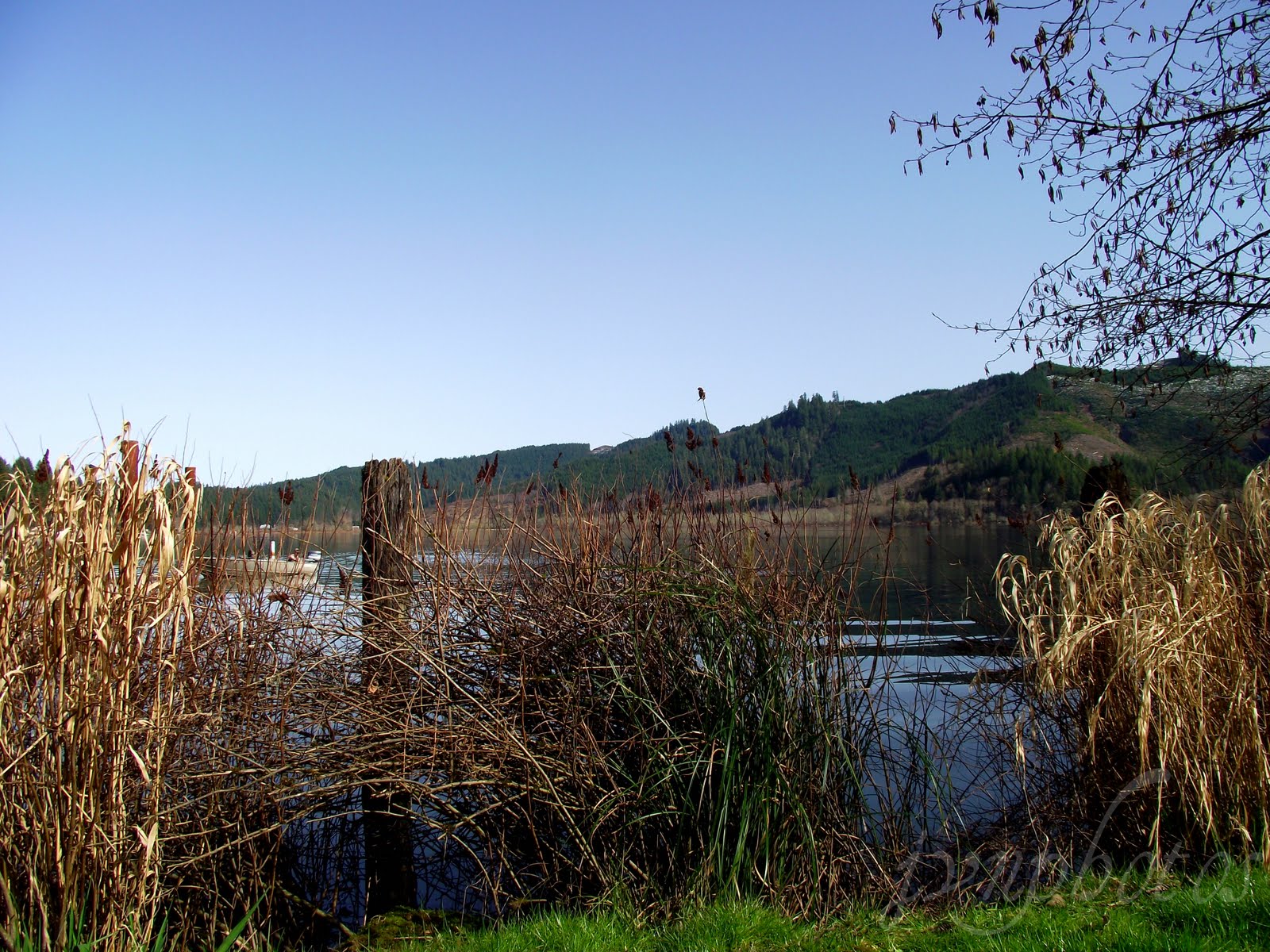 Photos by Jan: Triangle Lake, Oregon and Further Adventures