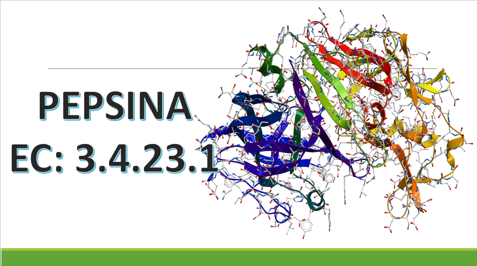 QFB Dulce Dominguez Cruz