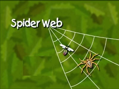 Spider Web | Play game online free game online play game online sites