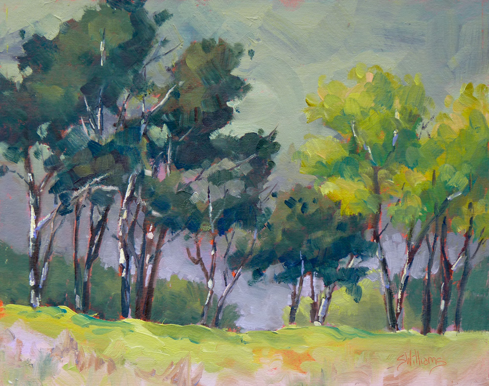 Sharon Lynn Williams' Art Blog: "Leighton Trees", plein air oil ...