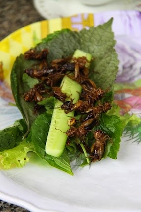Glenn Cardwell: Entomophagy - dining on insects