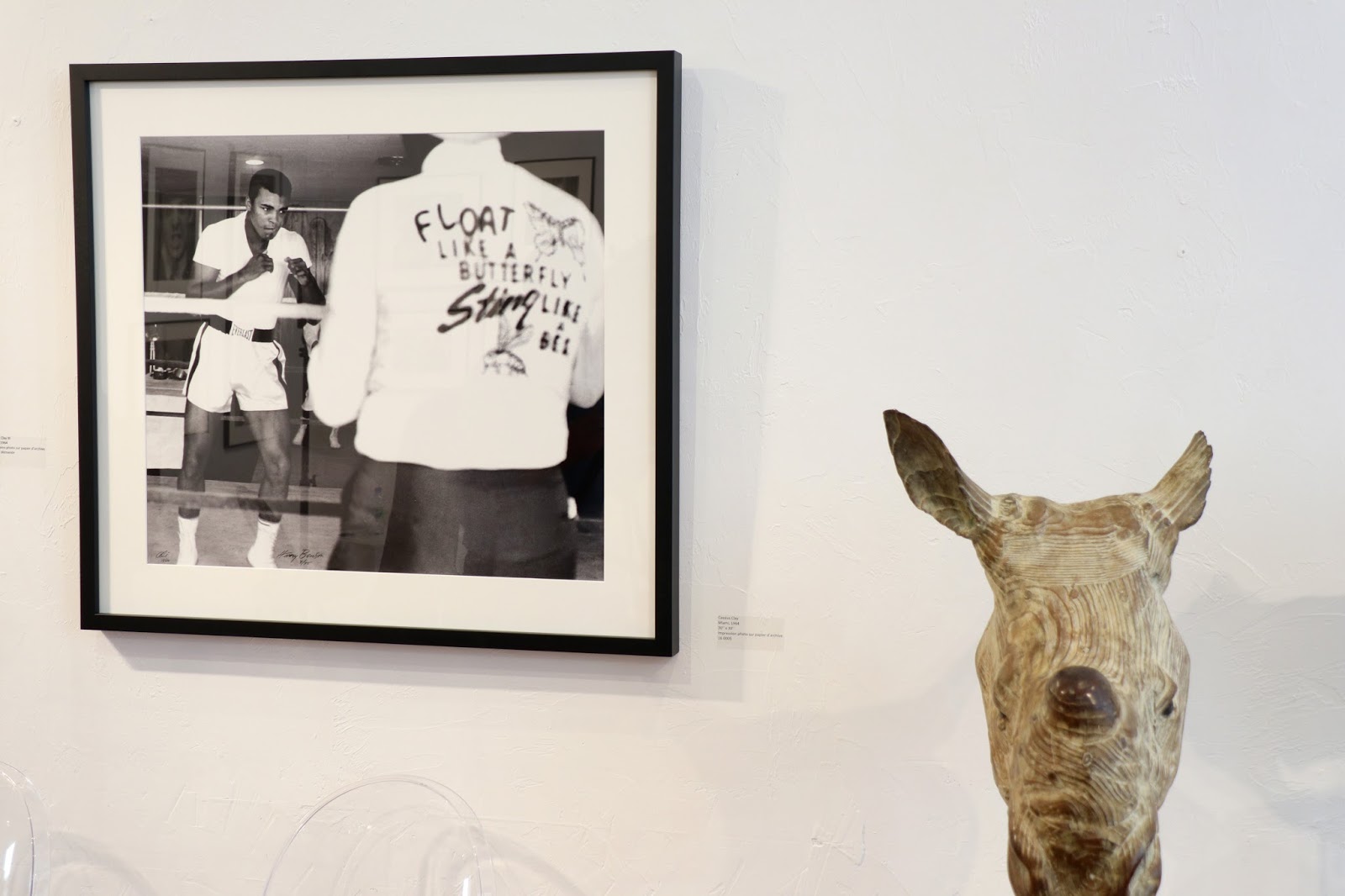 leStudio1.com - 1 archives: LE PHOTOGRAPHE HARRY BENSON