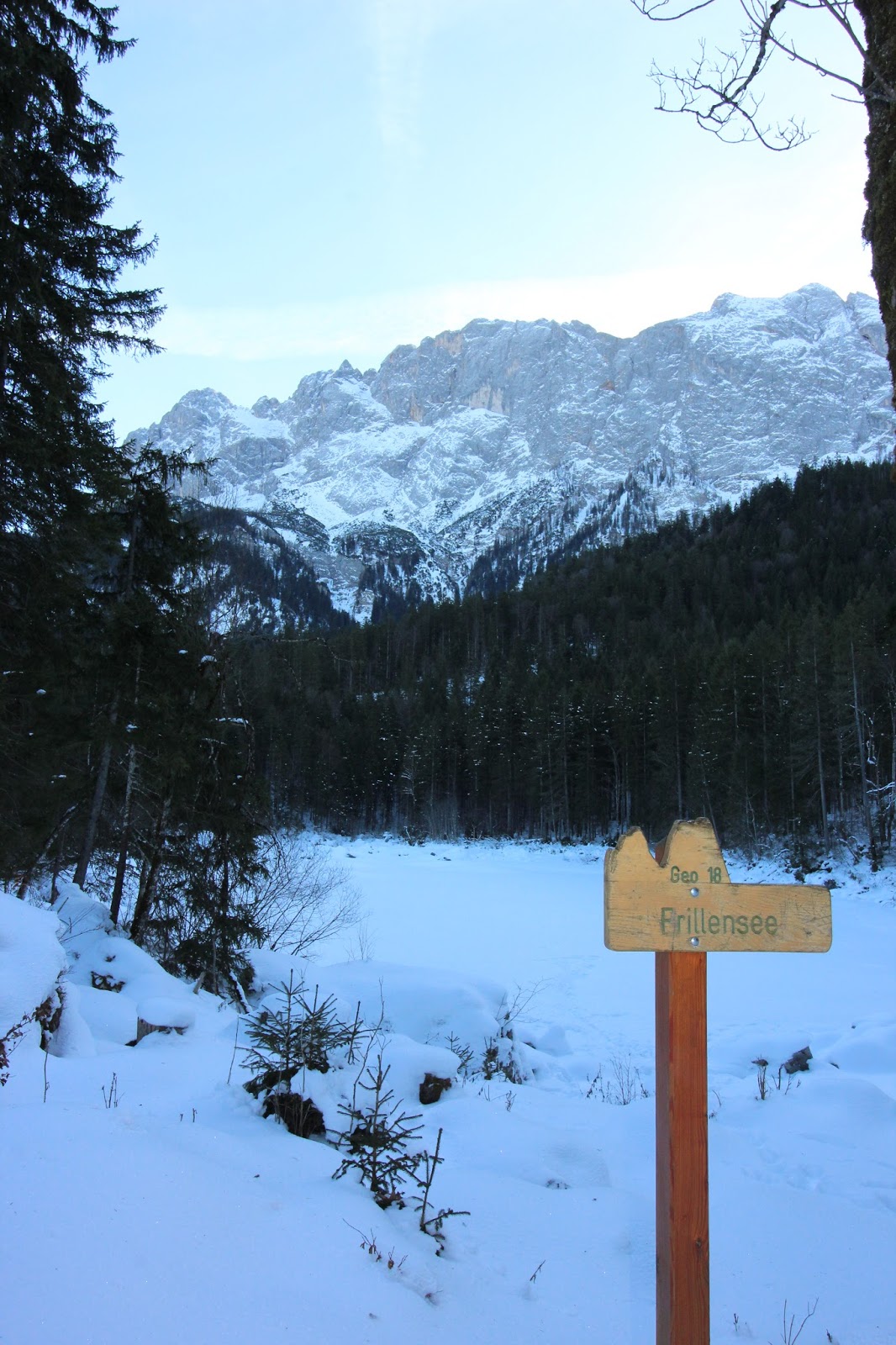 The Bailey Planet: Hiking Lake Eibsee, Germany