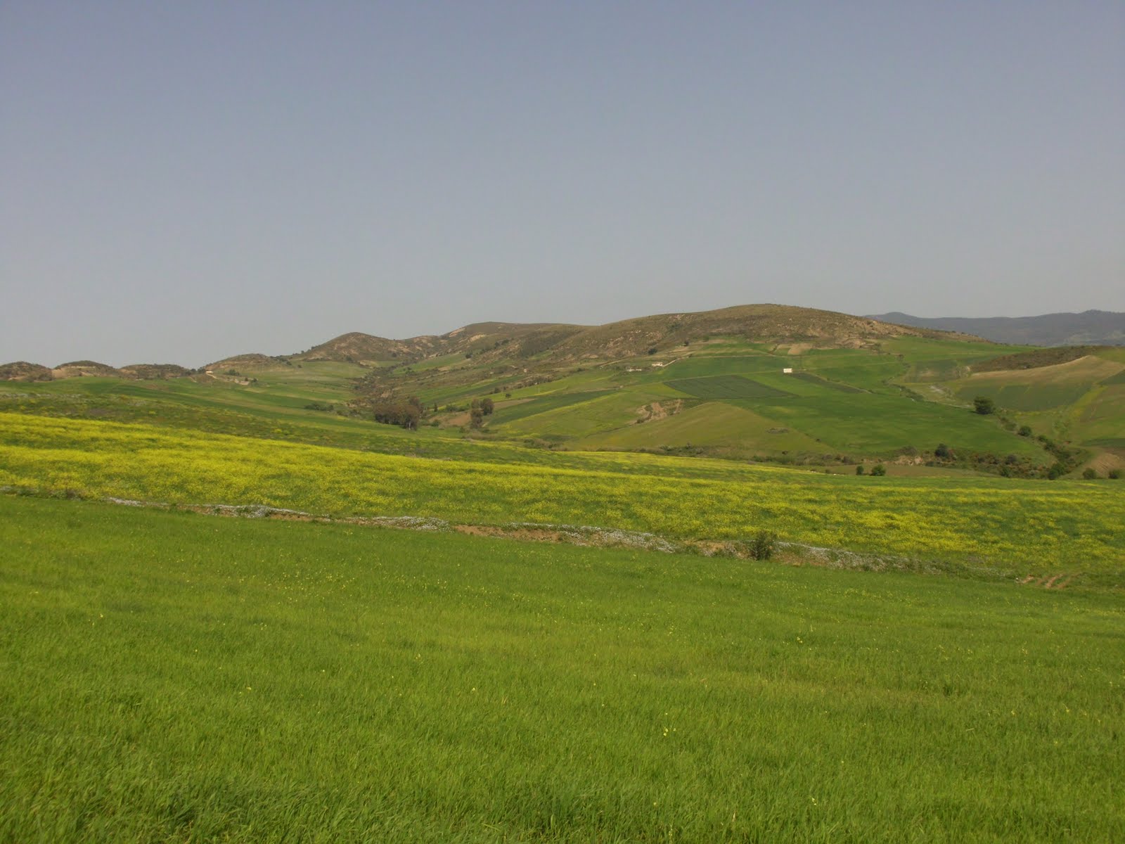 GUELMA EN PHOTOS- Algerien-Algeria-Algerie- Argelia