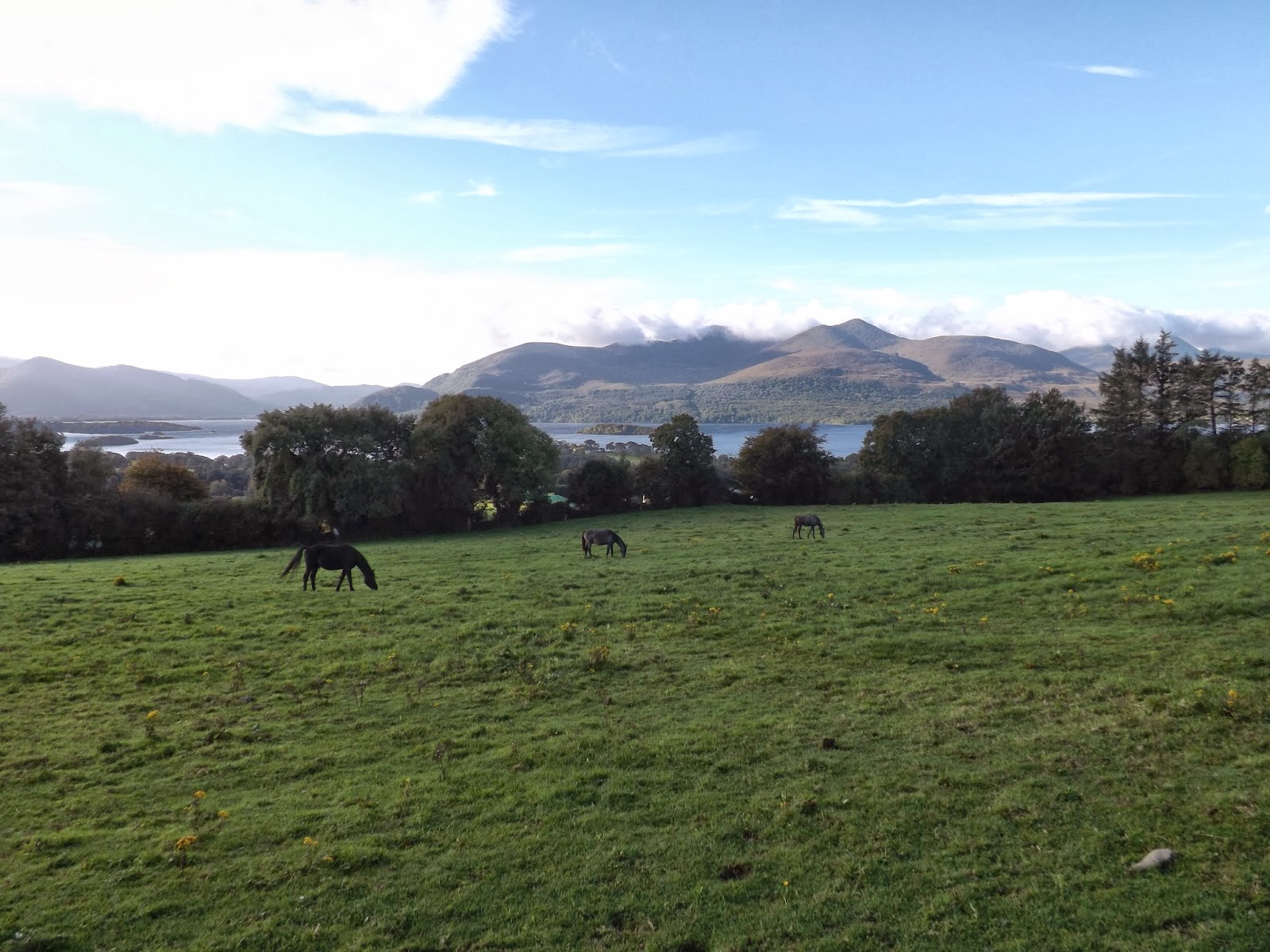 Día 31 - Viaje a Ring of Kerry | Un viaje llamado Erasmus: Erasmus en Cork