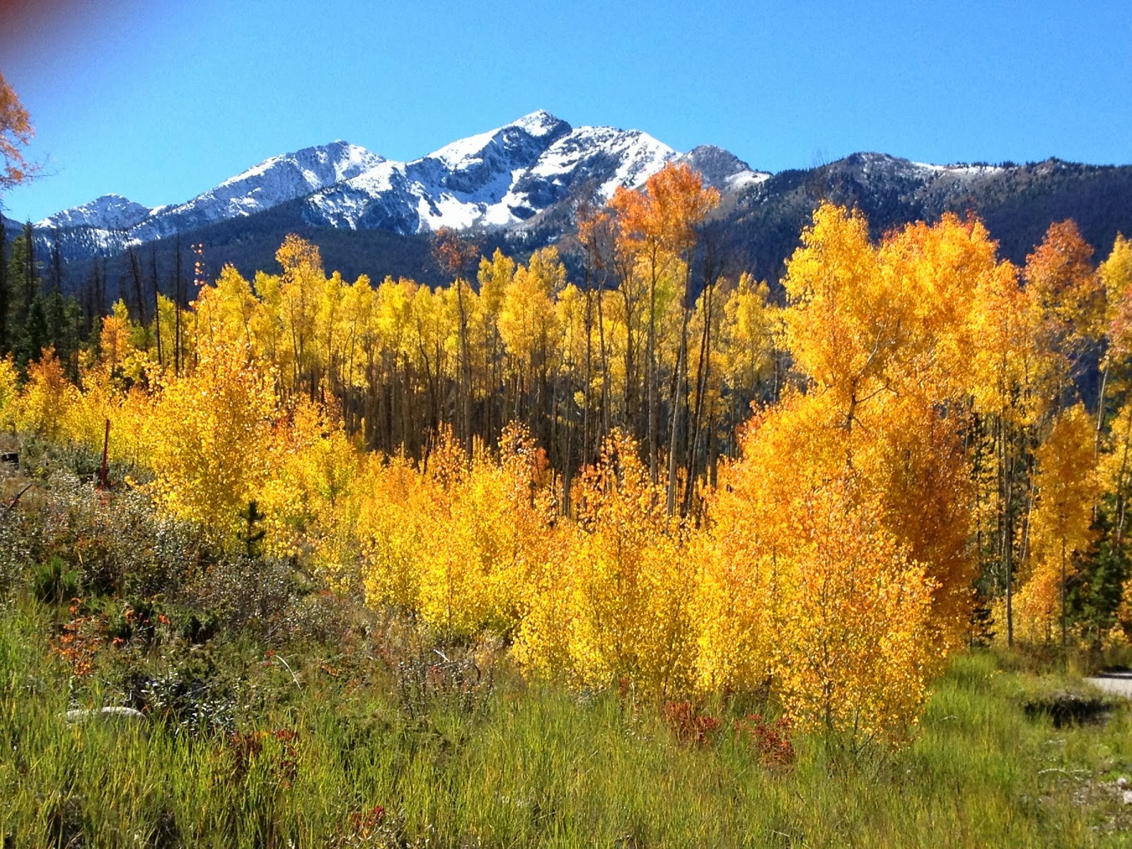 Al's Blog: Summit County Fall Day