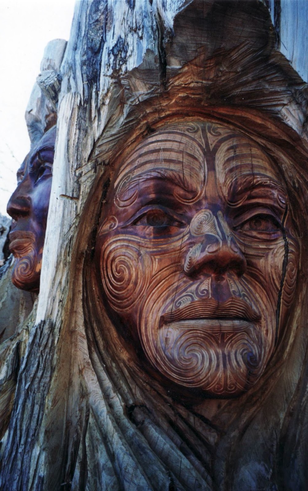 Art with Story: The Tree People