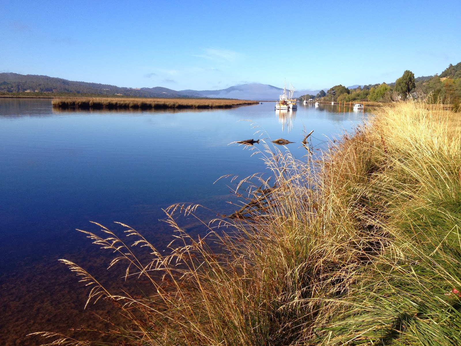 Huon View: Mt Tongatabu