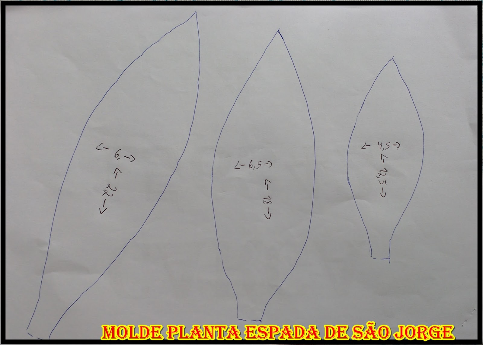 Arte Safira: Molde da Planta Espada de São Jorge de eva