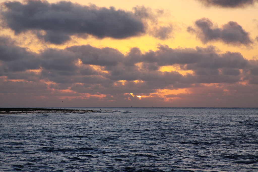 Dreamtime Sail: Fitzroy Reef - Another underwater wonderland.