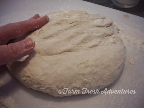 Farm Fresh Adventures: 5 Days of Favorite Family Recipes: Australian ...