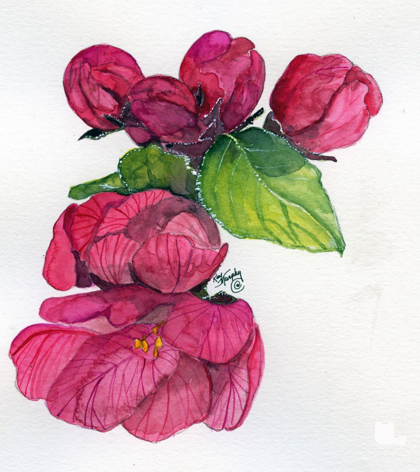 Kay Murphy's Studio Kay Murphy-Wallace:artist: January 2014