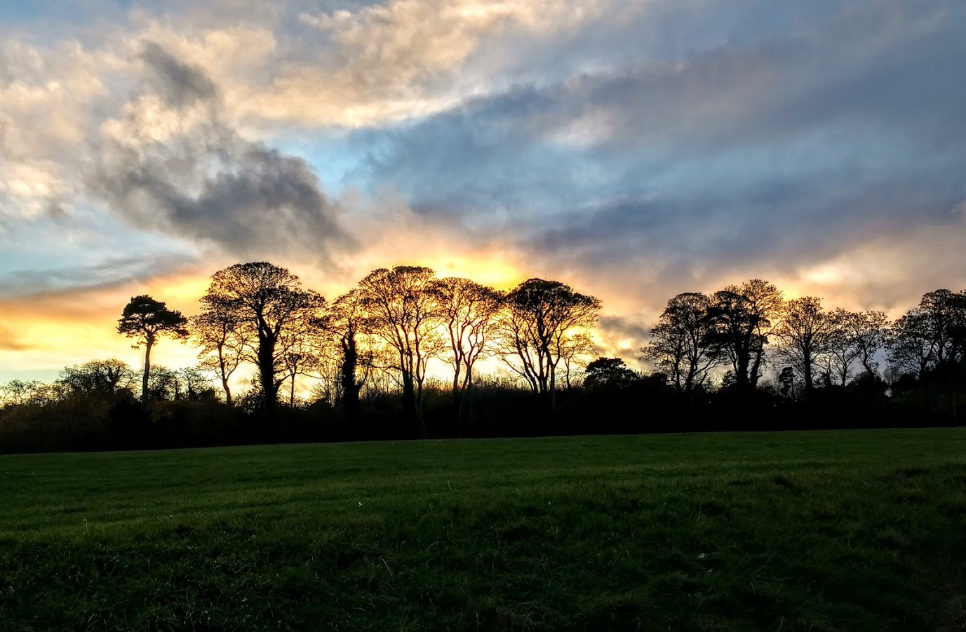 A Passion For Cards: Crawfordsburn Country Park, Co. Down
