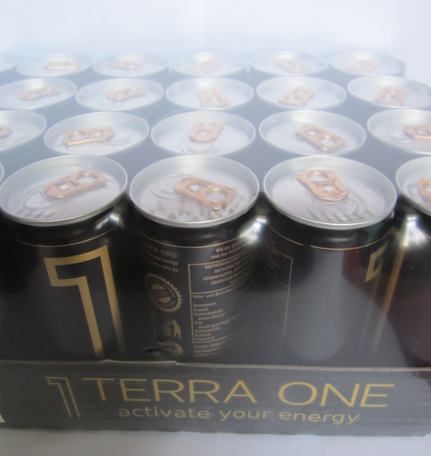 Energy Plattform: Unterstützung durch Terra One GbR ...