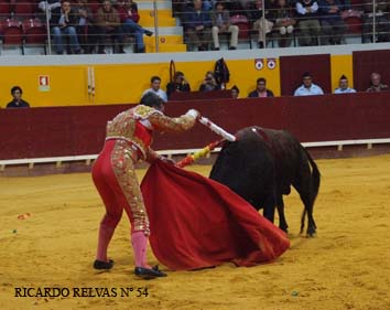 El Redondel Taurino: FOTOS:PLAZA DE TOROS COLISEU DE REDONDO 01.11-2011
