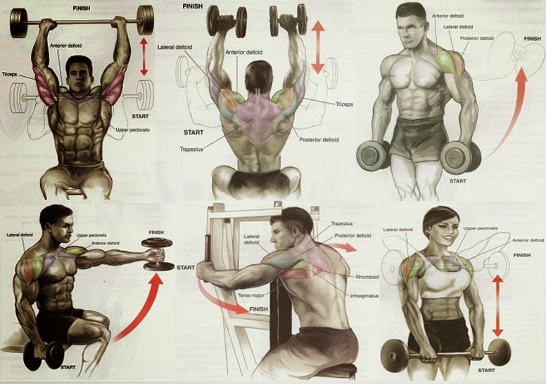 The Fitness Era: Shoulder Workout!