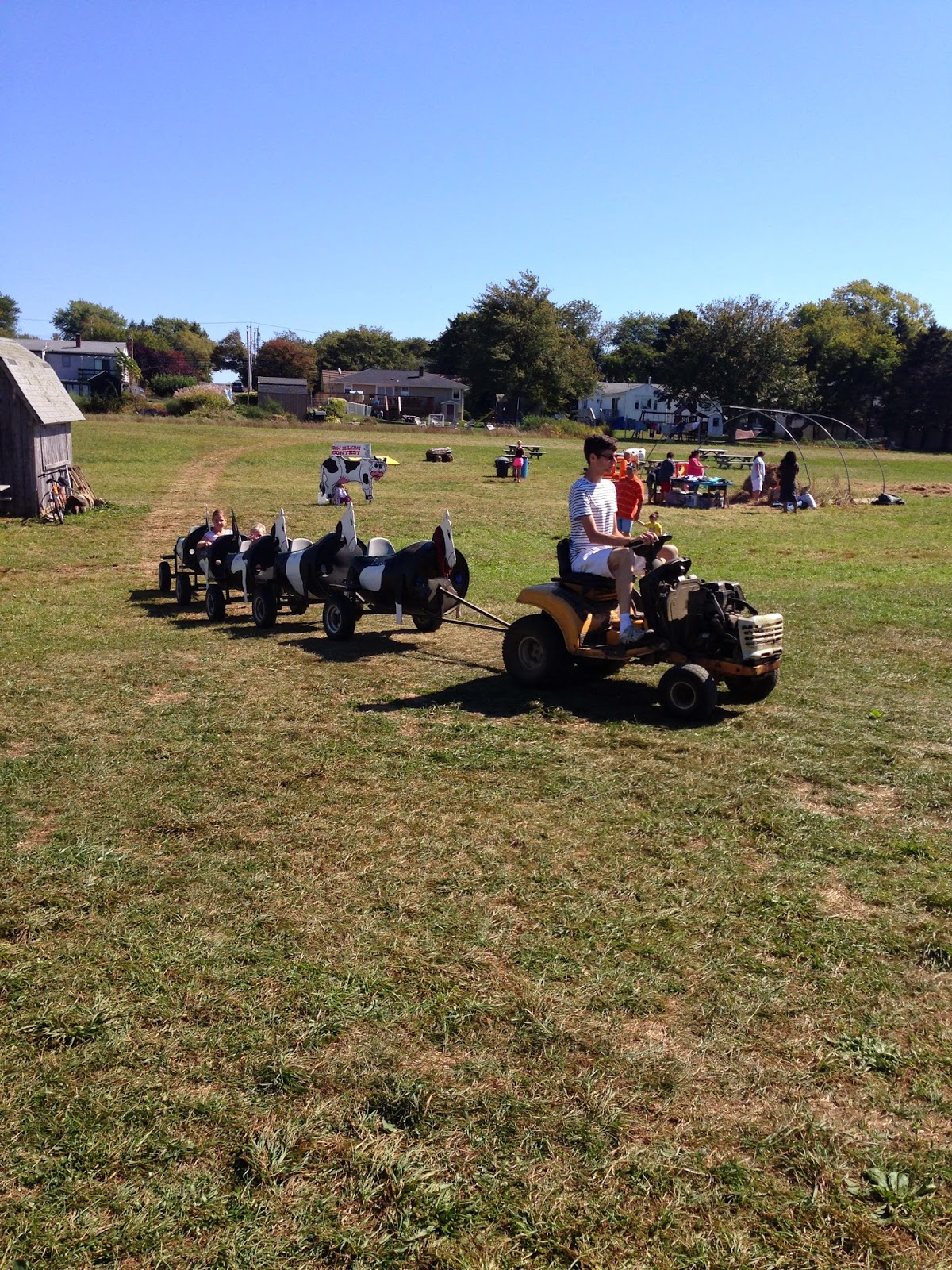 Superheroes and Princesses: Escobar Farm Corn Maze