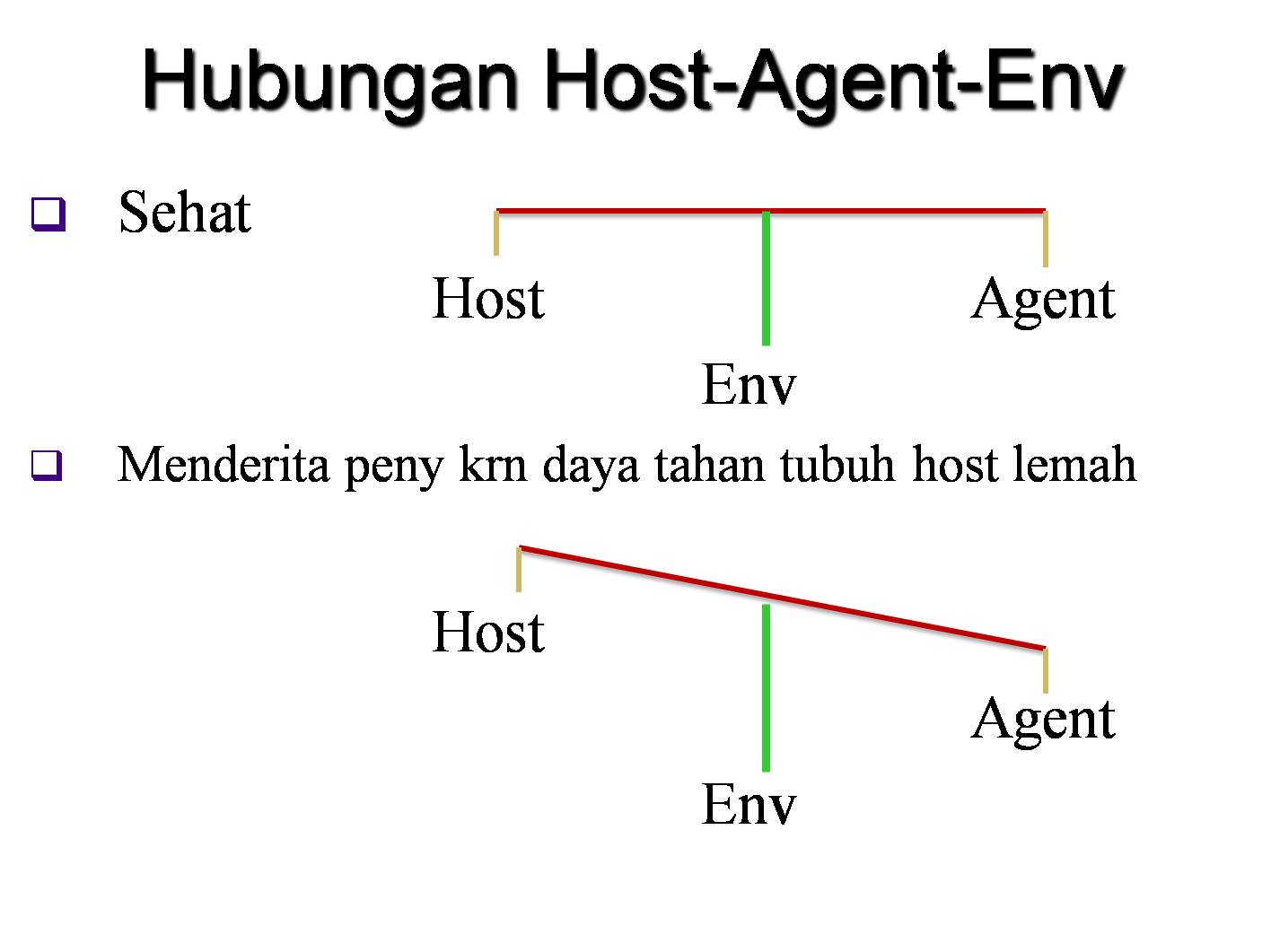Liyana Putri Afifah: epidemiologic triangle, web of causation