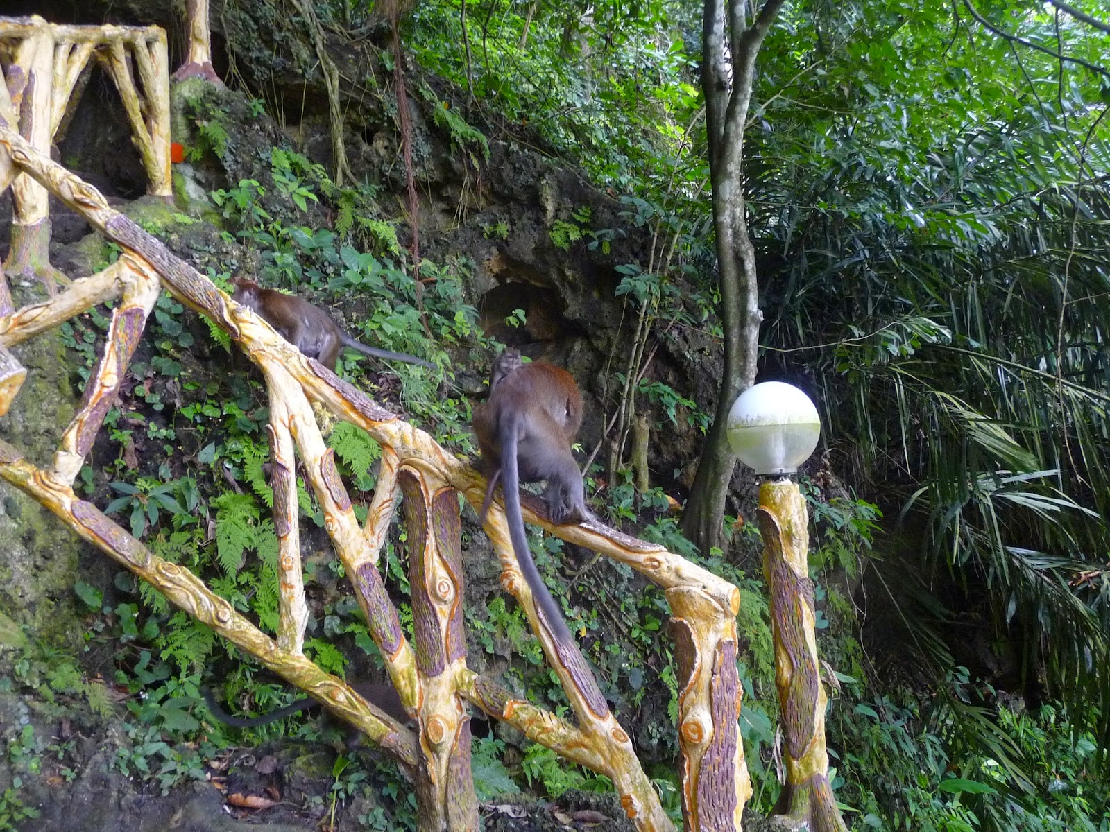 Leyte Places: Hindang Caves and Wild Monkeys