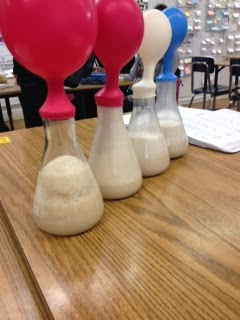 Ms. Salzburg's Science Classroom: The Science of Bread: Feeding the Yeast