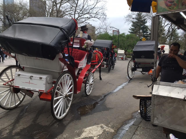 Carriage Horses - NYC: NYC CARRIAGE HORSE HACK LINES -- BOONDOGGLE OR ...