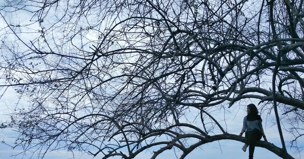 Taman Nasional Baluran - Africa Van Java | Hijab Traveller