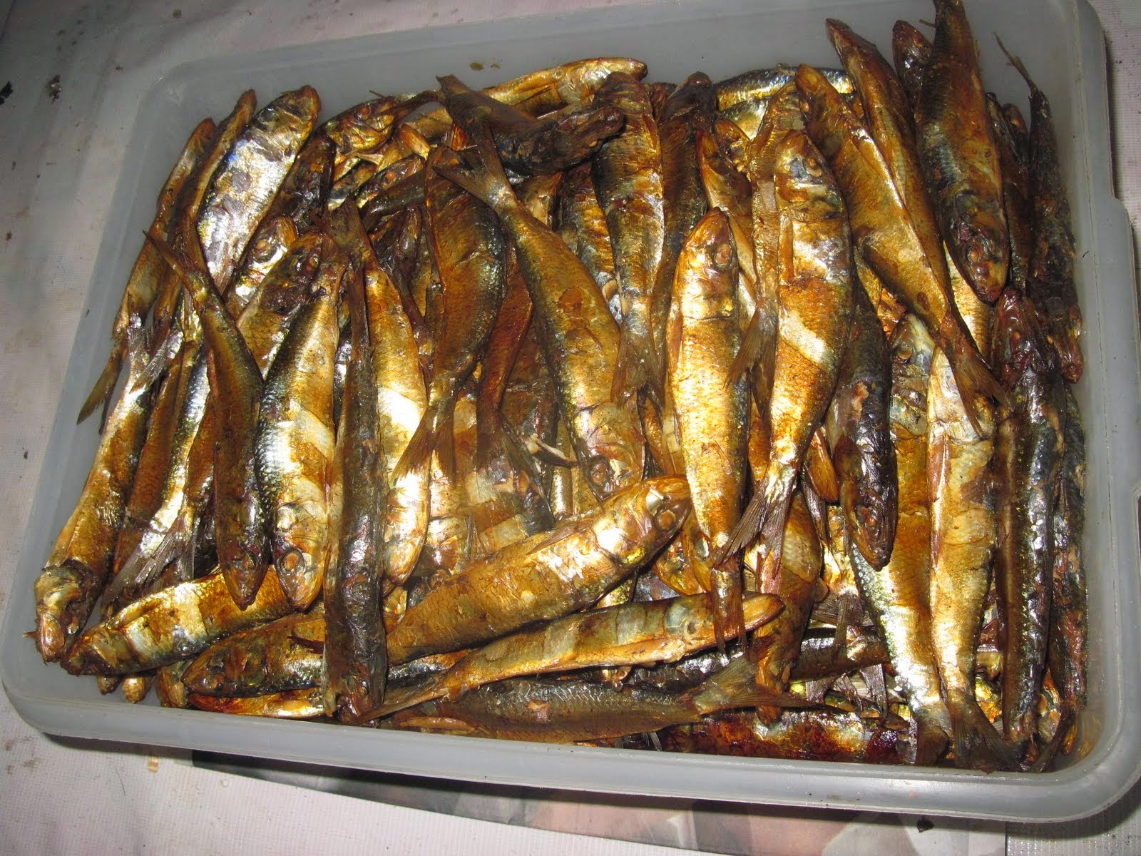 Living with Nature - School on Blog by Dr. Abercio V. Rotor: Food ...