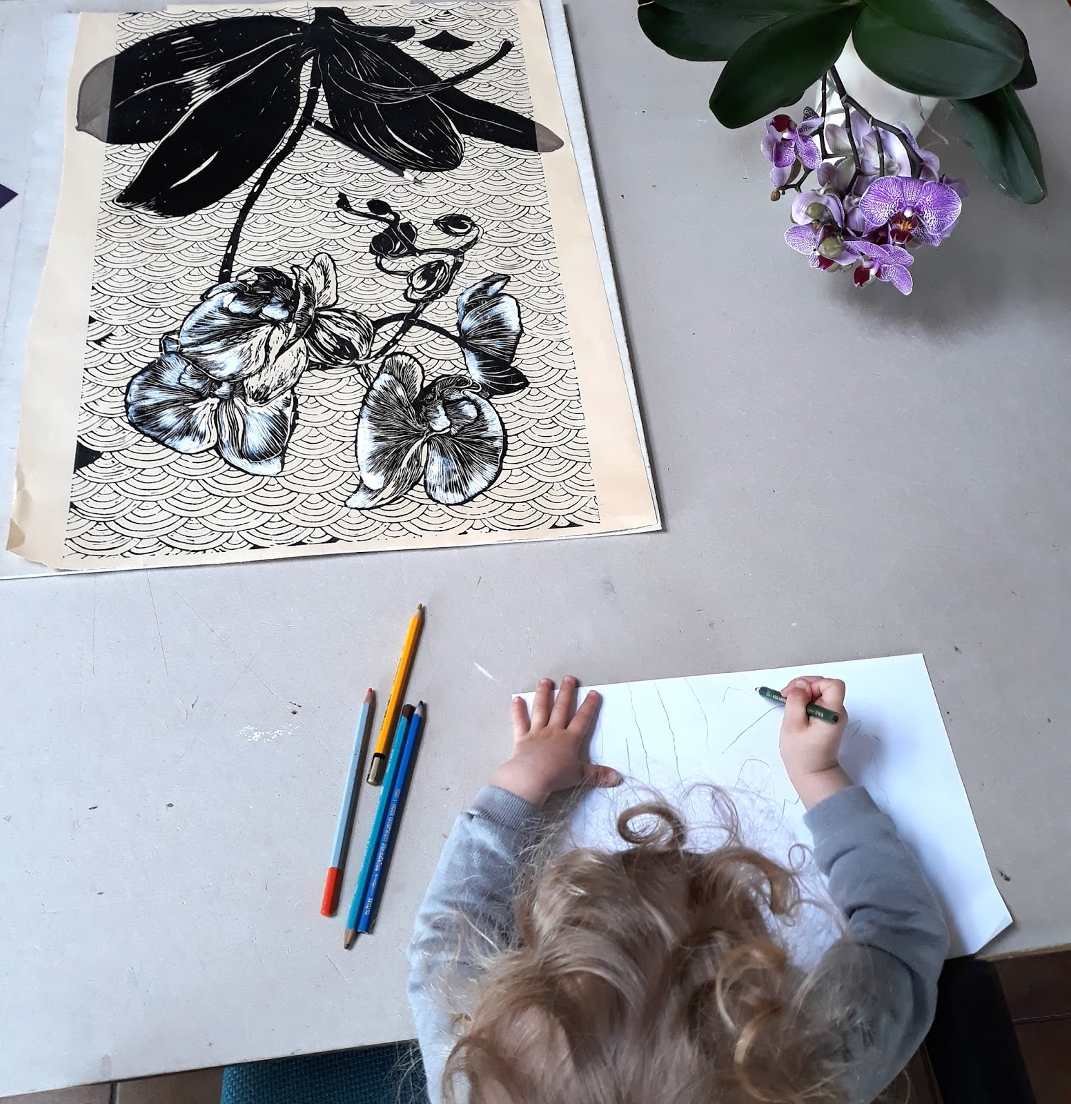 Atelier Adam Poltorak: New orchid linocut / Linoryt orchidea