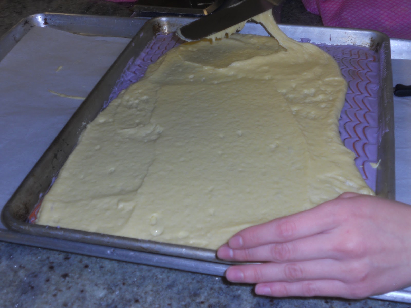 Spring 2011: Joconde Sponge Cake, Ribbon Sponge