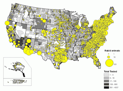 Terrierman's Daily Dose: Rabies Maps for the U.S.
