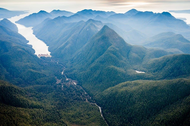 Vancouver Island Big Trees: Ahousaht First Nation Saving Their Big ...